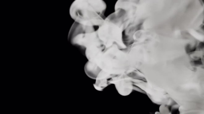 Cigarette Smoke Alpha