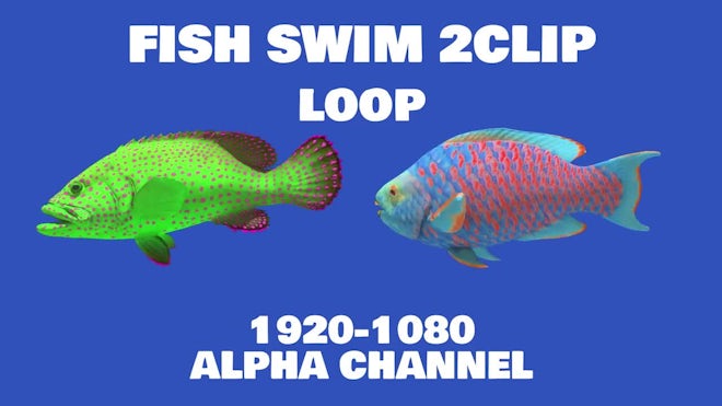 The All-in-One Video & Filmmakers Platform | Motion Array