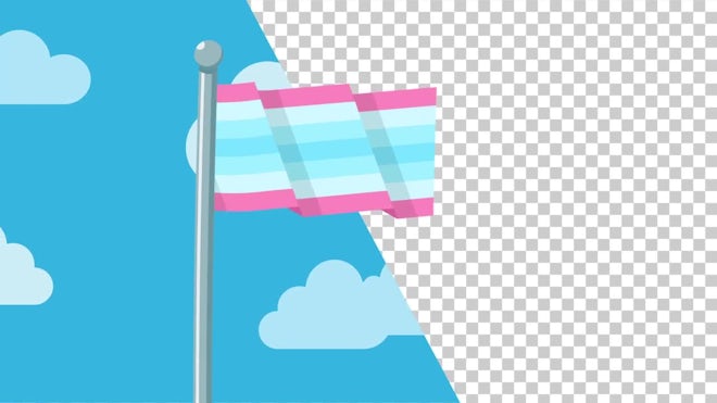 The All-in-One Video & Filmmakers Platform | Motion Array