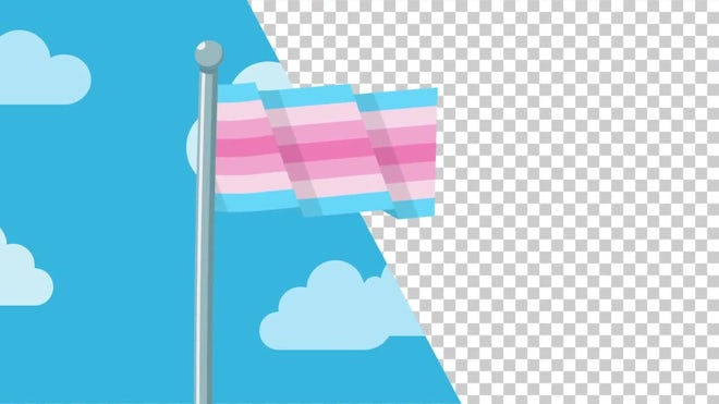 The All-in-One Video & Filmmakers Platform | Motion Array