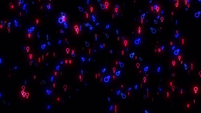 The All-in-One Video & Filmmakers Platform | Motion Array