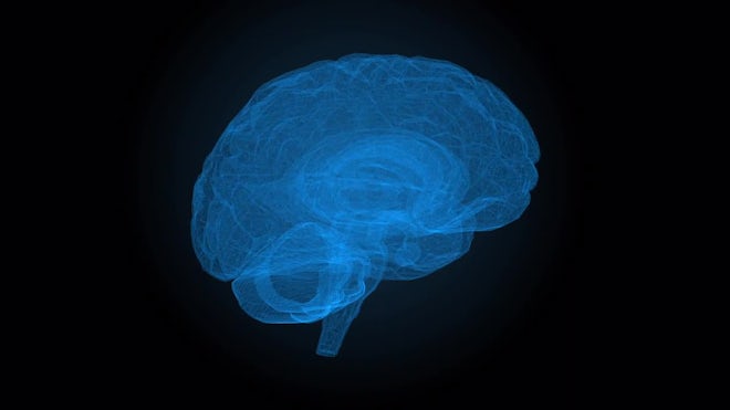 Rotating Brain Animation 3d Brain Rotating Gold Brain On Stock Footage