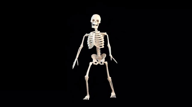 Skeleton Dance Memes Dancing Skeletons On A Green Screen Background