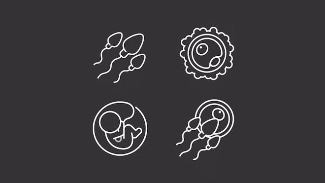 The All-in-One Video & Filmmakers Platform | Motion Array