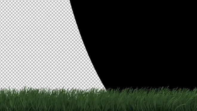 Grass Overlay by pinnk - Stock Motion Graphics | Motion Array