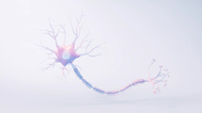 Nerve Synapse Animation