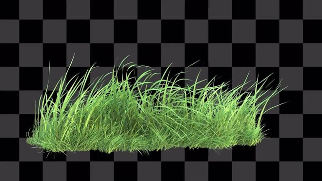 Grass Alpha Texture
