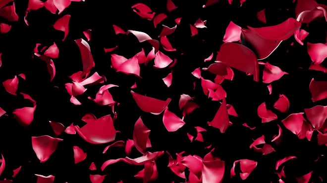 Falling Red Petals