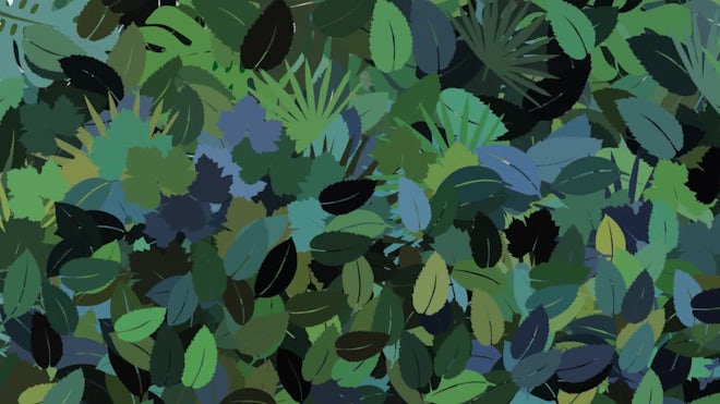 Green Leaves Transition On Alpha - Stock Motion Graphics | Motion Array
