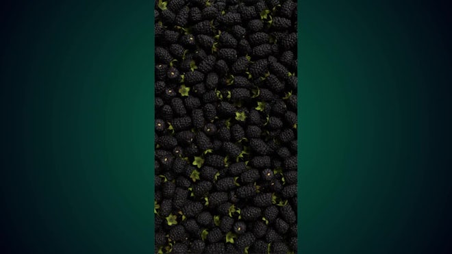 Blackberries Transition On Vertical Alpha Loop - Stock Motion Graphics | Motion Array