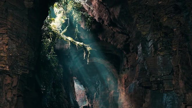 The All-in-One Video & Filmmakers Platform | Motion Array