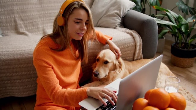 The All-in-One Video & Filmmakers Platform | Motion Array