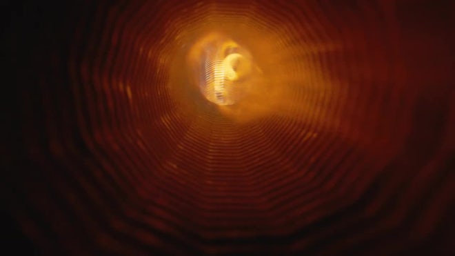 The All-in-One Video & Filmmakers Platform | Motion Array