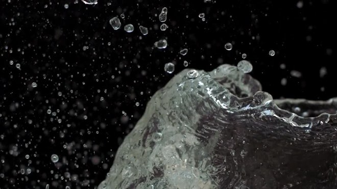 The All-in-One Video & Filmmakers Platform | Motion Array