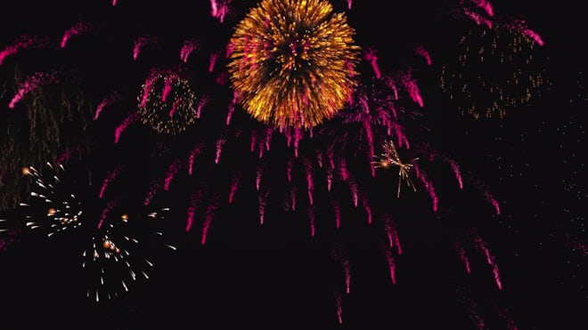 The All-in-One Video & Filmmakers Platform | Motion Array