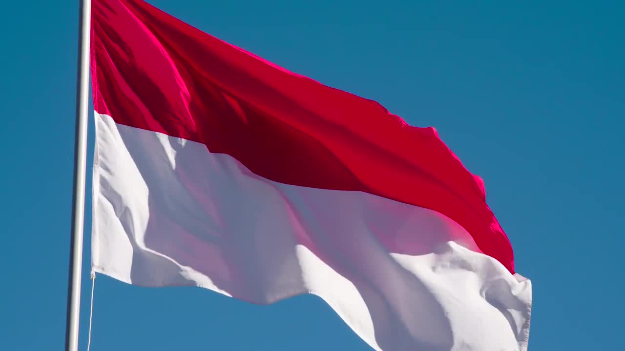 State Flag Of Indonesia - Stock Video | Motion Array
