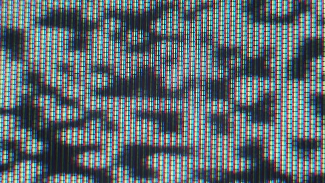 The All-in-One Video & Filmmakers Platform | Motion Array