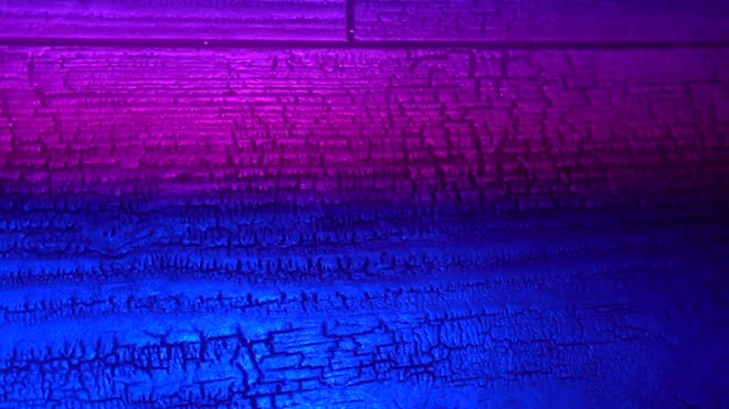 The All-in-One Video & Filmmakers Platform | Motion Array