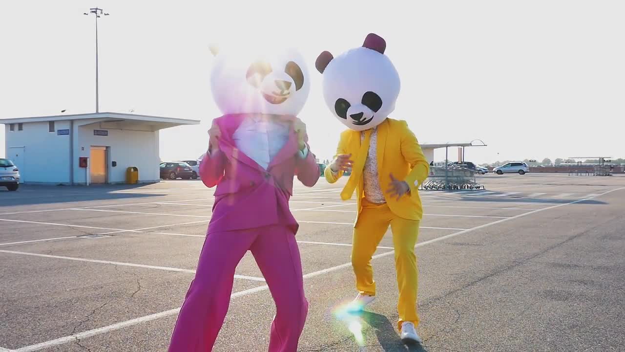 Crazy Mascots Dance - Stock Video | Motion Array