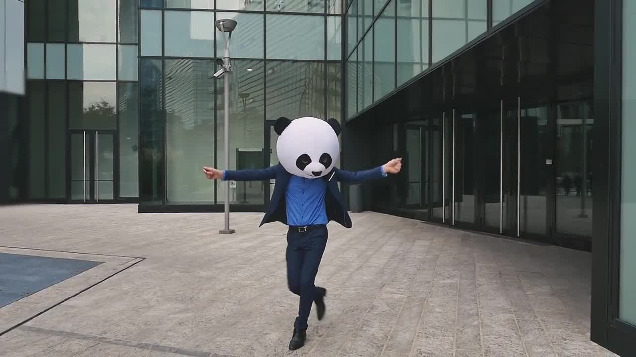 Funny Man With Panda Head Dancing - Stock Video | Motion Array