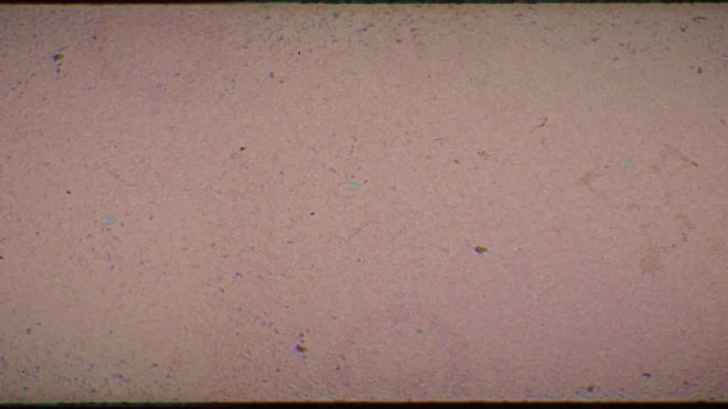 The All-in-One Video & Filmmakers Platform | Motion Array