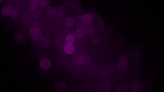 The All-in-One Video & Filmmakers Platform | Motion Array