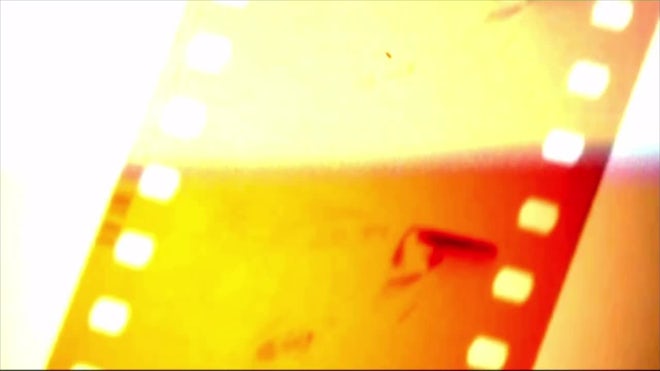 The All-in-One Video & Filmmakers Platform | Motion Array