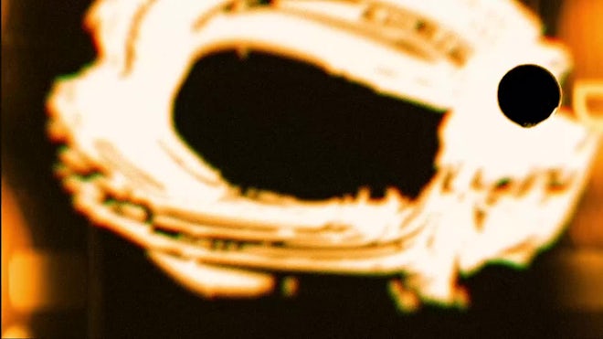 The All-in-One Video & Filmmakers Platform | Motion Array