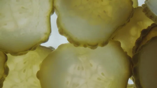 Pickle Slice