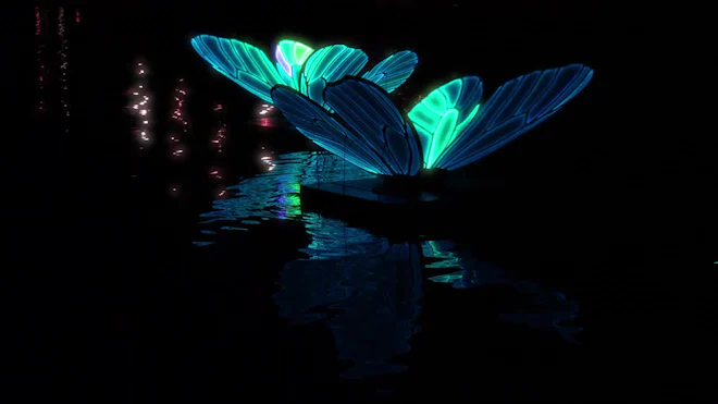 Glowing Butterflies Glowing Butterfly By Atreyja On DeviantArt