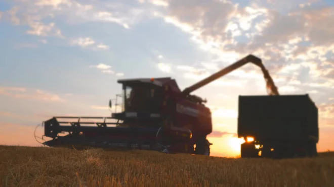 Combine Harvester Loading Grain In Field - Stock Video | Motion Array