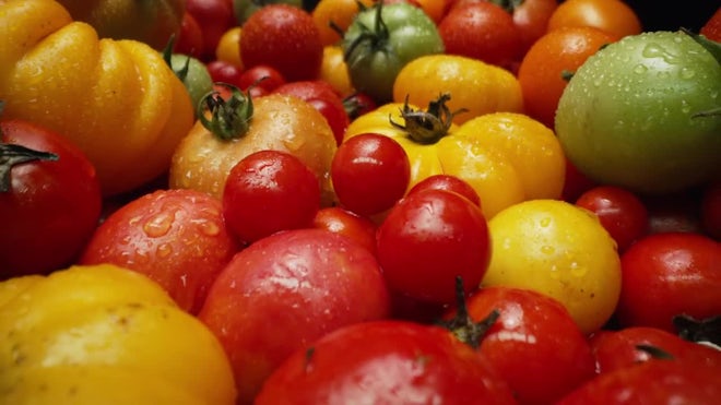 Variety In Photography Examples