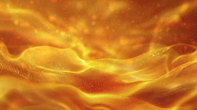 The All-in-One Video & Filmmakers Platform | Motion Array