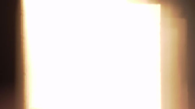 Insanely Bright Whitee Screen Coub: In Loop We Trust