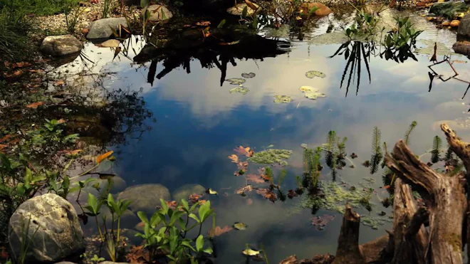 Reflection Clouds Pond