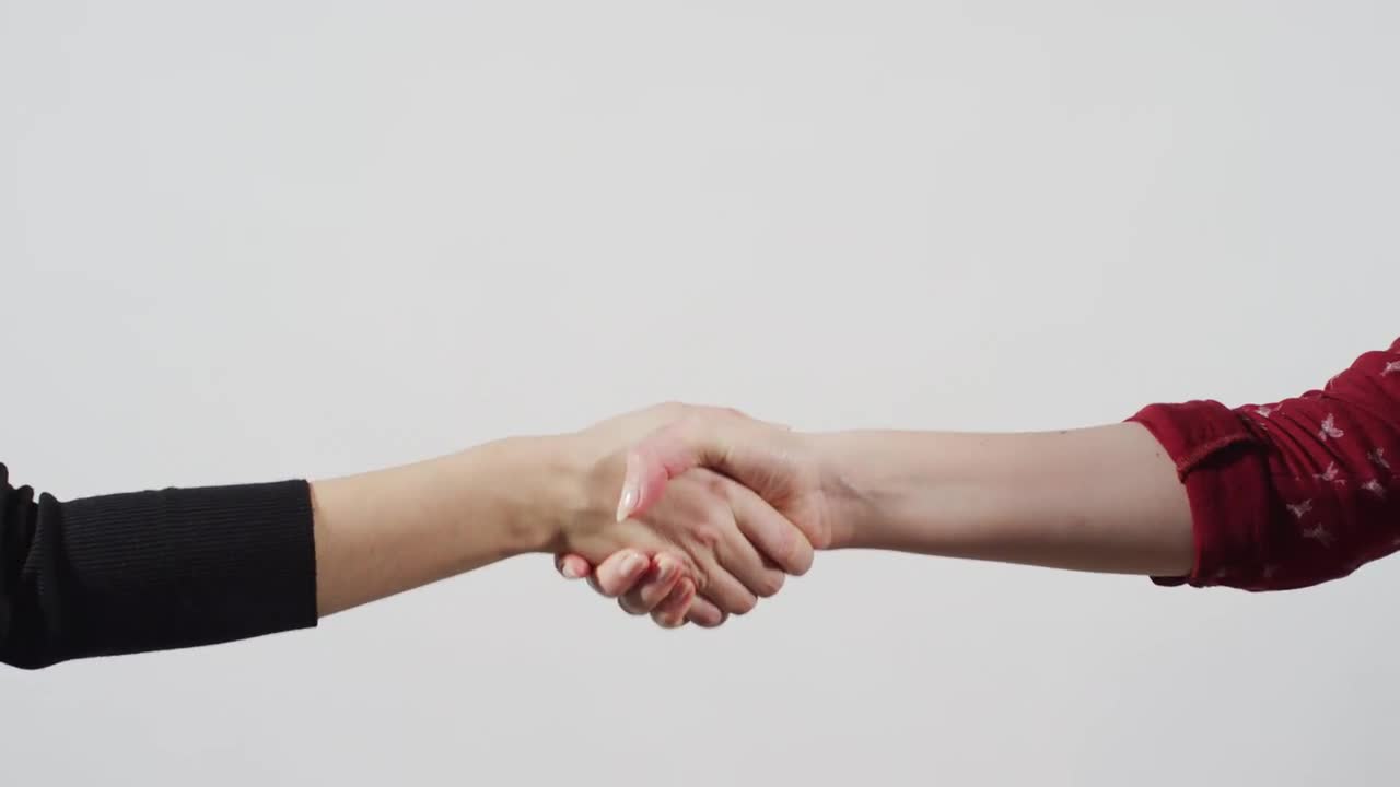 The Handshake Gesture - Stock Video | Motion Array