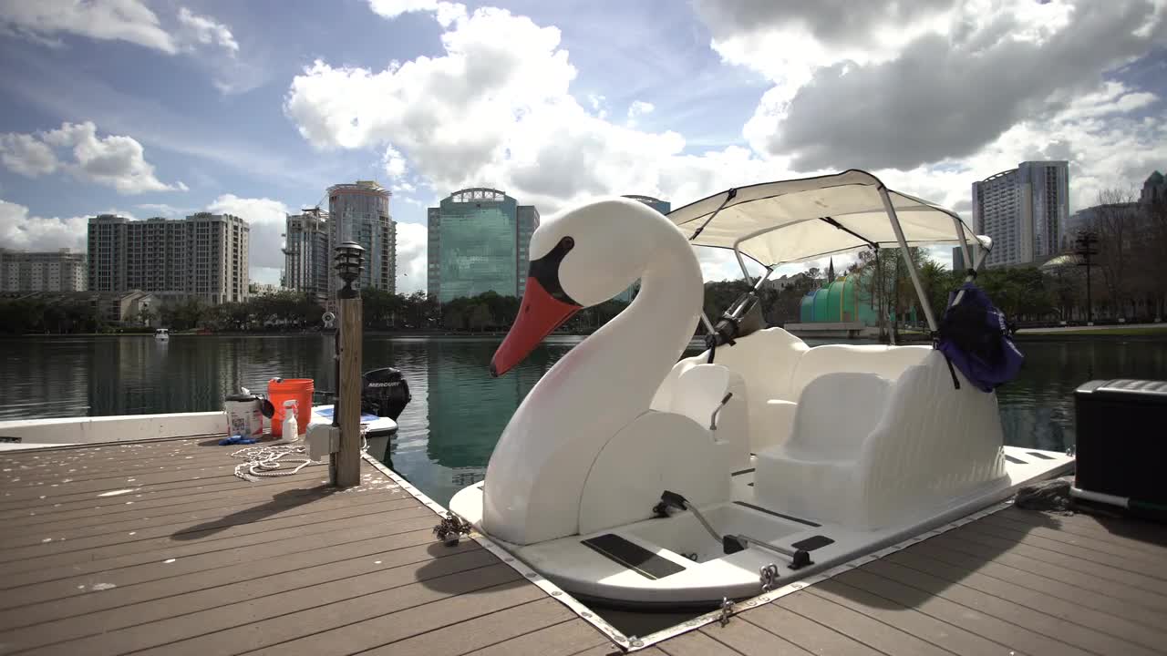 Swan Boat On A Lake - Stock Video | Motion Array