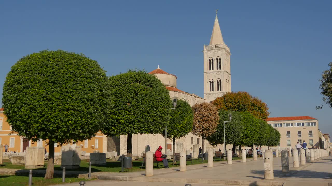 Trees In A Sunny Square - Stock Video | Motion Array