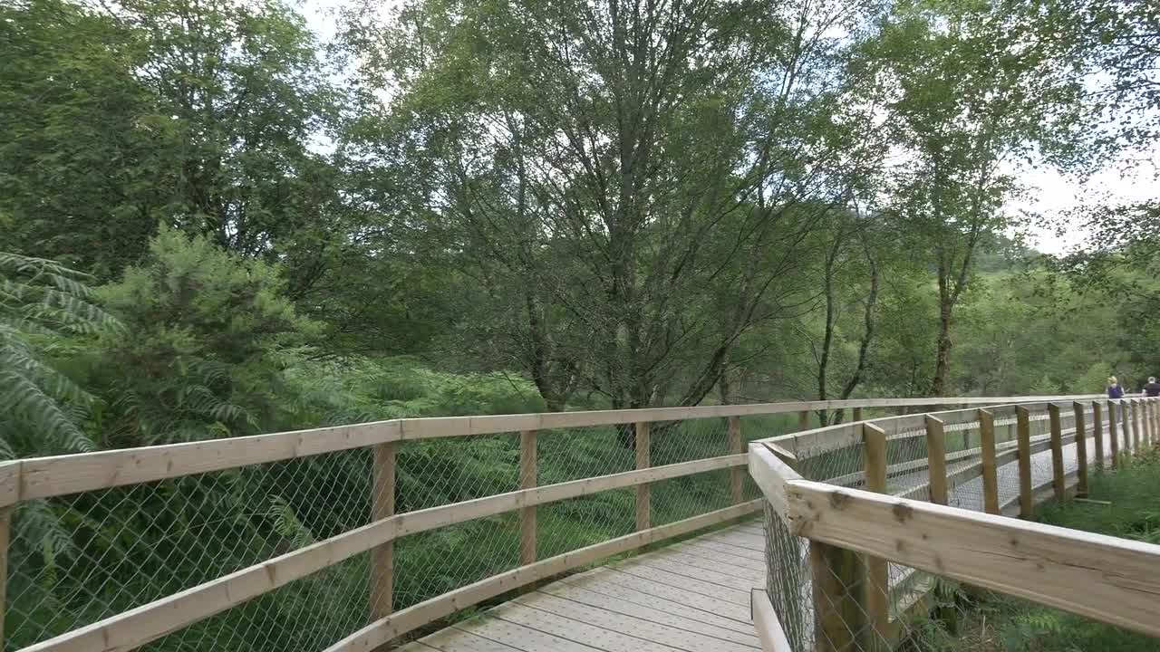 Curved Alley With Wire Fence - Stock Video | Motion Array