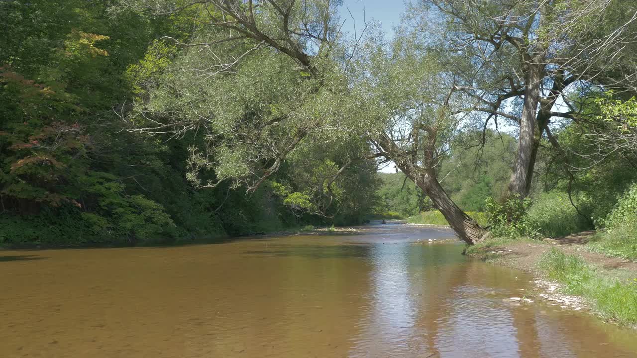 River Seen In Bronte Creek... - Stock Video | Motion Array