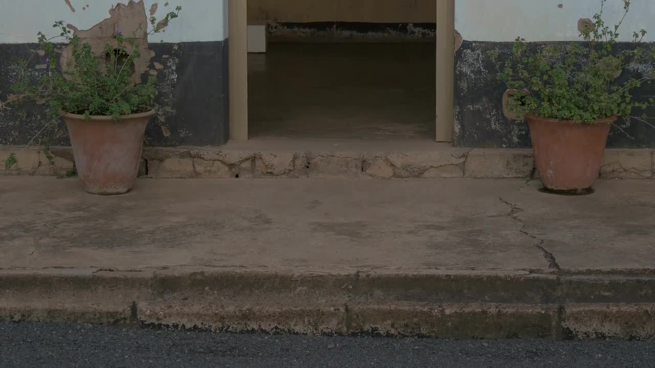 Bullet Ridden Wall - Stock Video | Motion Array