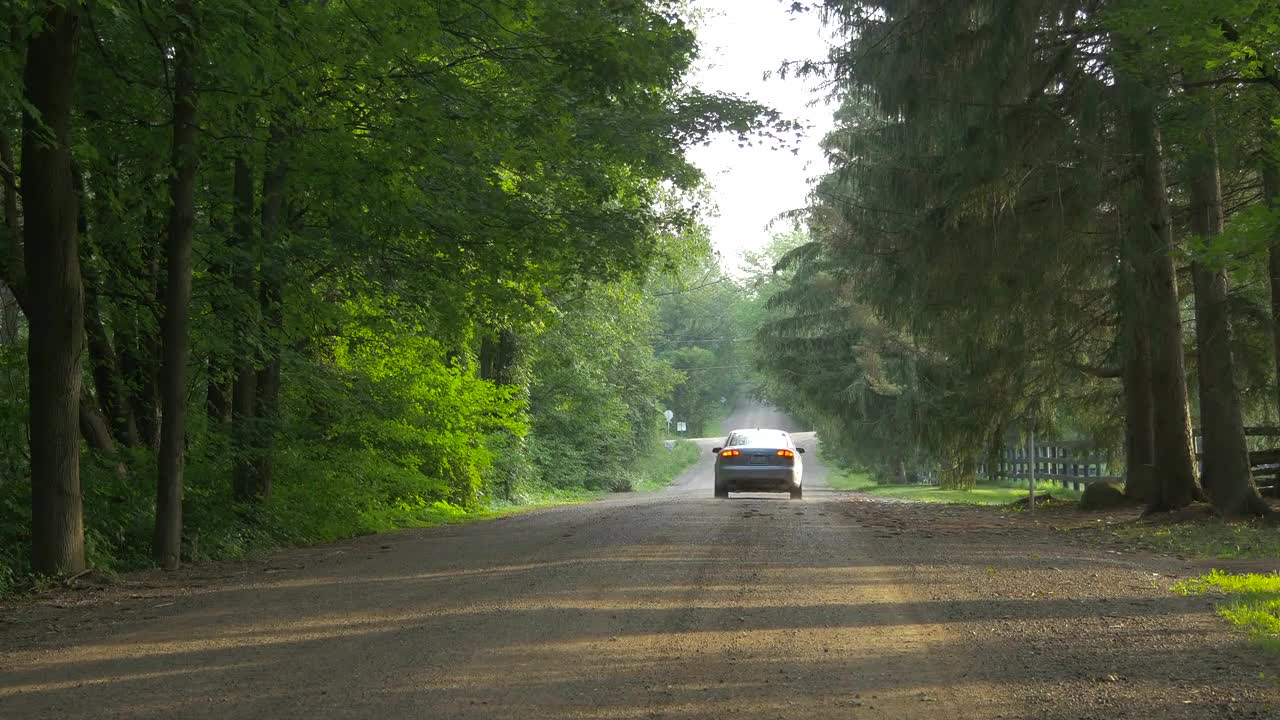 Car Driving On A Forest Road - Stock Video | Motion Array
