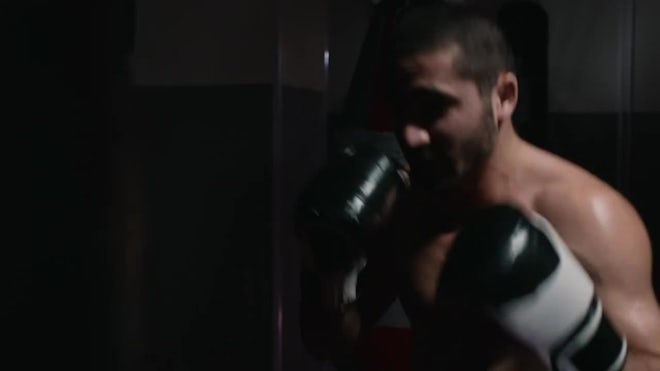 The All-in-One Video & Filmmakers Platform | Motion Array