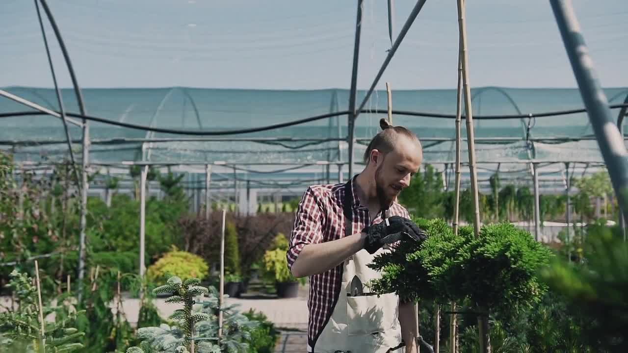 Male Gardener Inspecting Plants - Stock Video | Motion Array