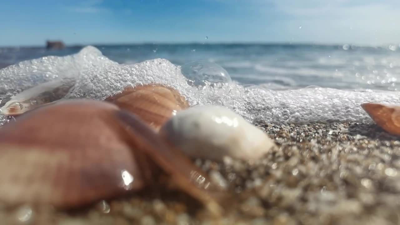 Wave Washing Over Shells On Beach - Stock Video | Motion Array