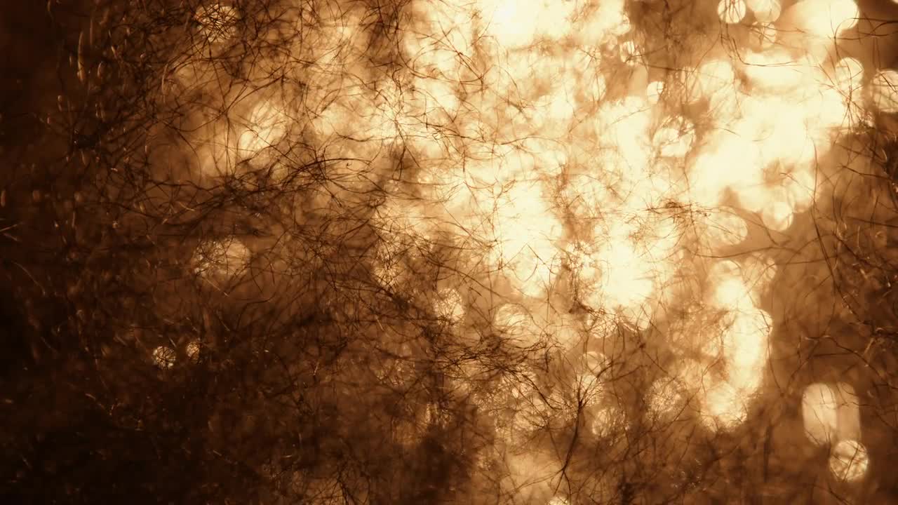 Fibers Catching Fire - Stock Video | Motion Array