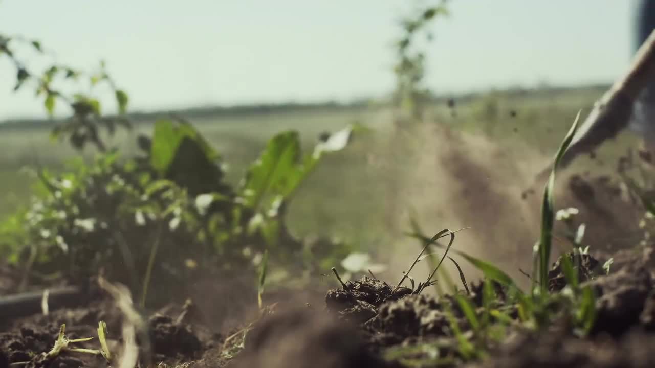 Farmer Digging Up Weeds Close-Up - Stock Video | Motion Array