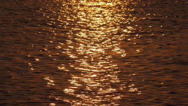 Golden Sun Reflection On Water