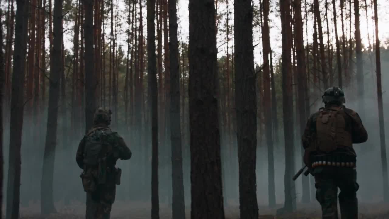 Soldiers On Patrol In Pine Forest - Stock Video | Motion Array