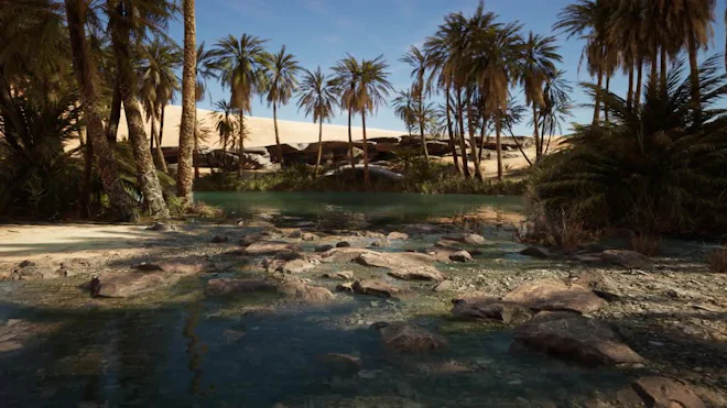 Beautiful Desert Oasis